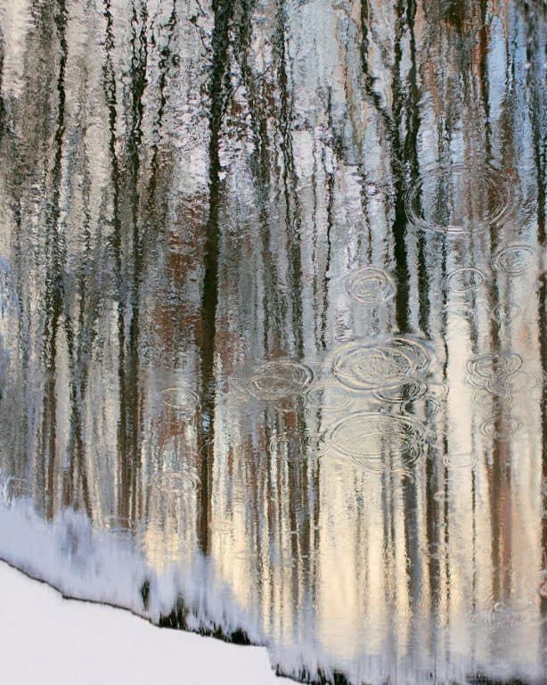 The Columns » Exhibition Features Photography of Kate Cordsen '86 ...