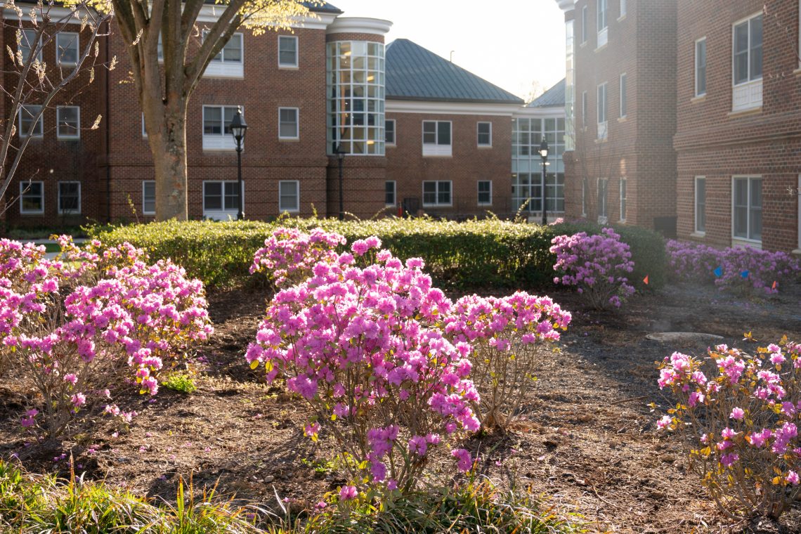 The Columns » See You in Lexington » Washington and Lee University