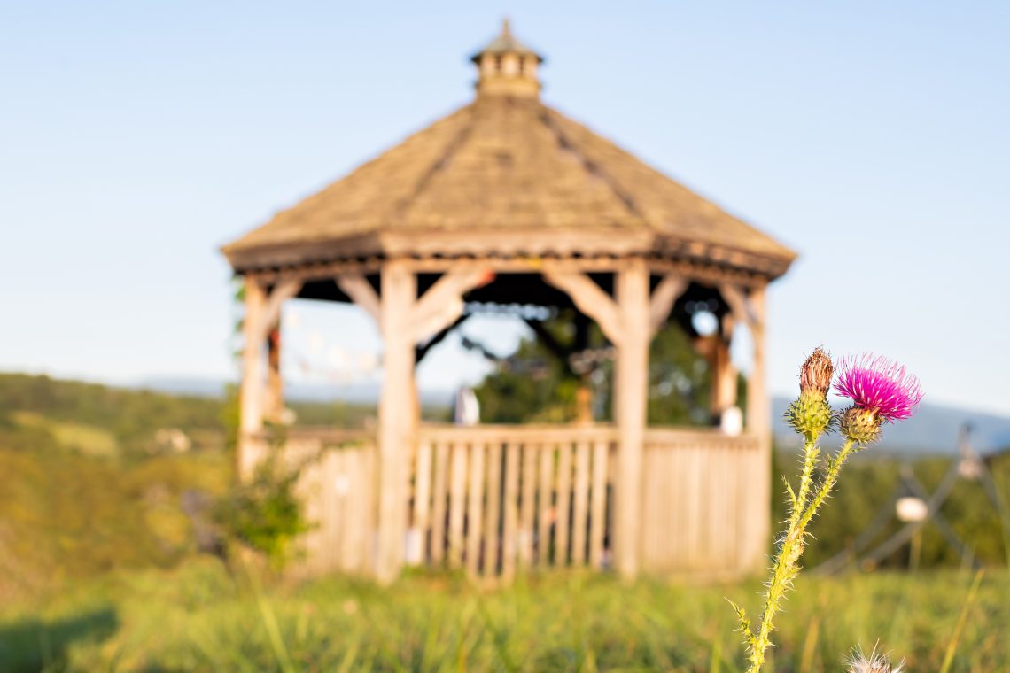 The Columns » W&L’s Outing Club Starts the Adventuring Outside ...