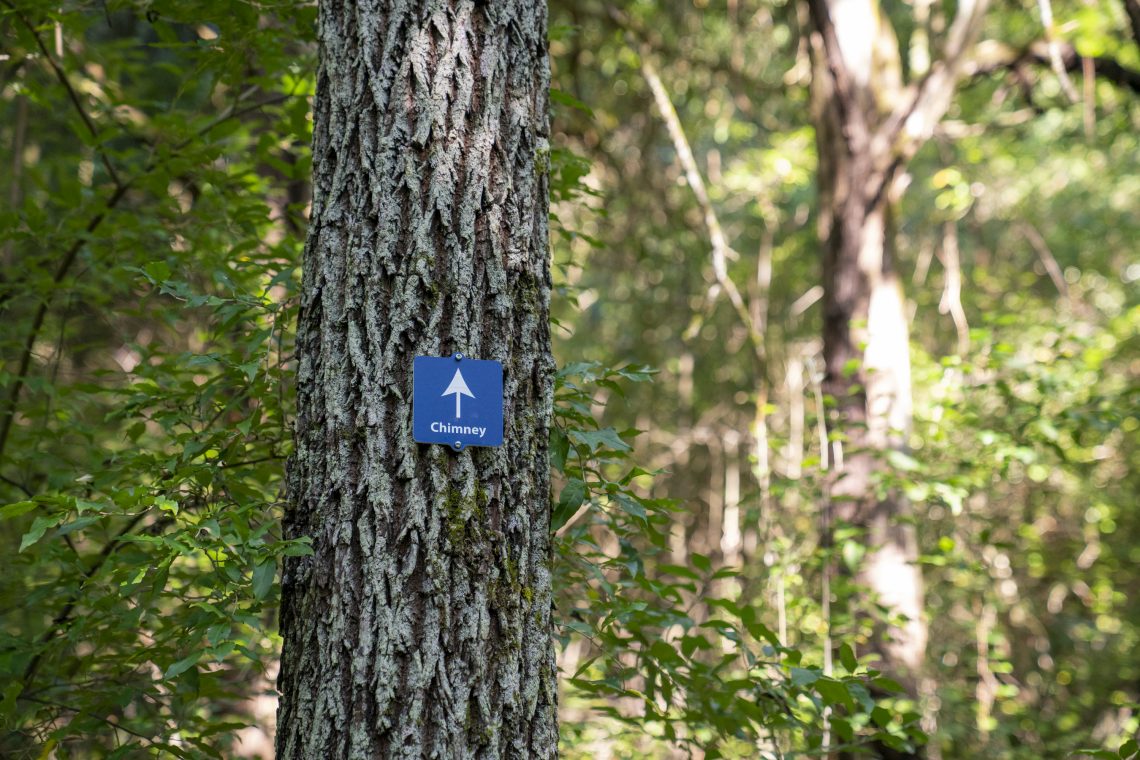 The Columns » Back-Campus Trails Better Than Ever » Washington and Lee ...