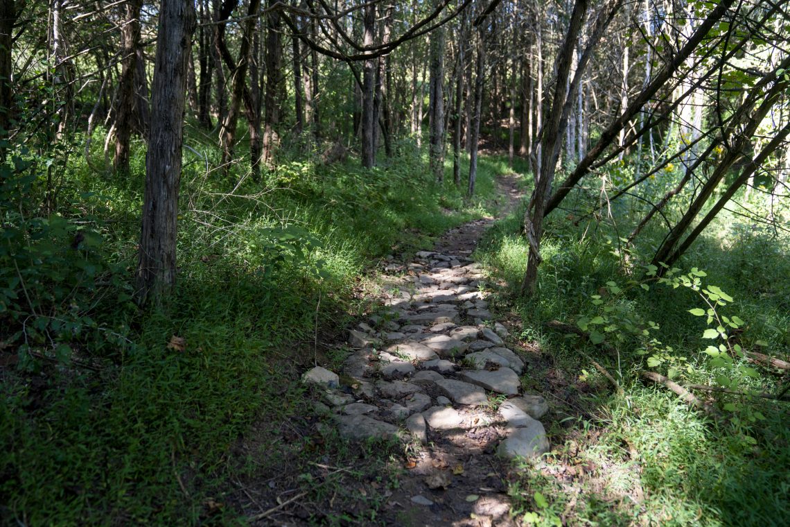 The Columns » Back-Campus Trails Better Than Ever » Washington and Lee ...