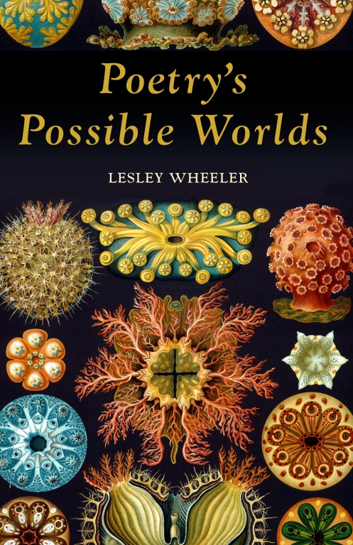 The Columns » W&L’s Wheeler Publishes New Book » Washington and Lee ...