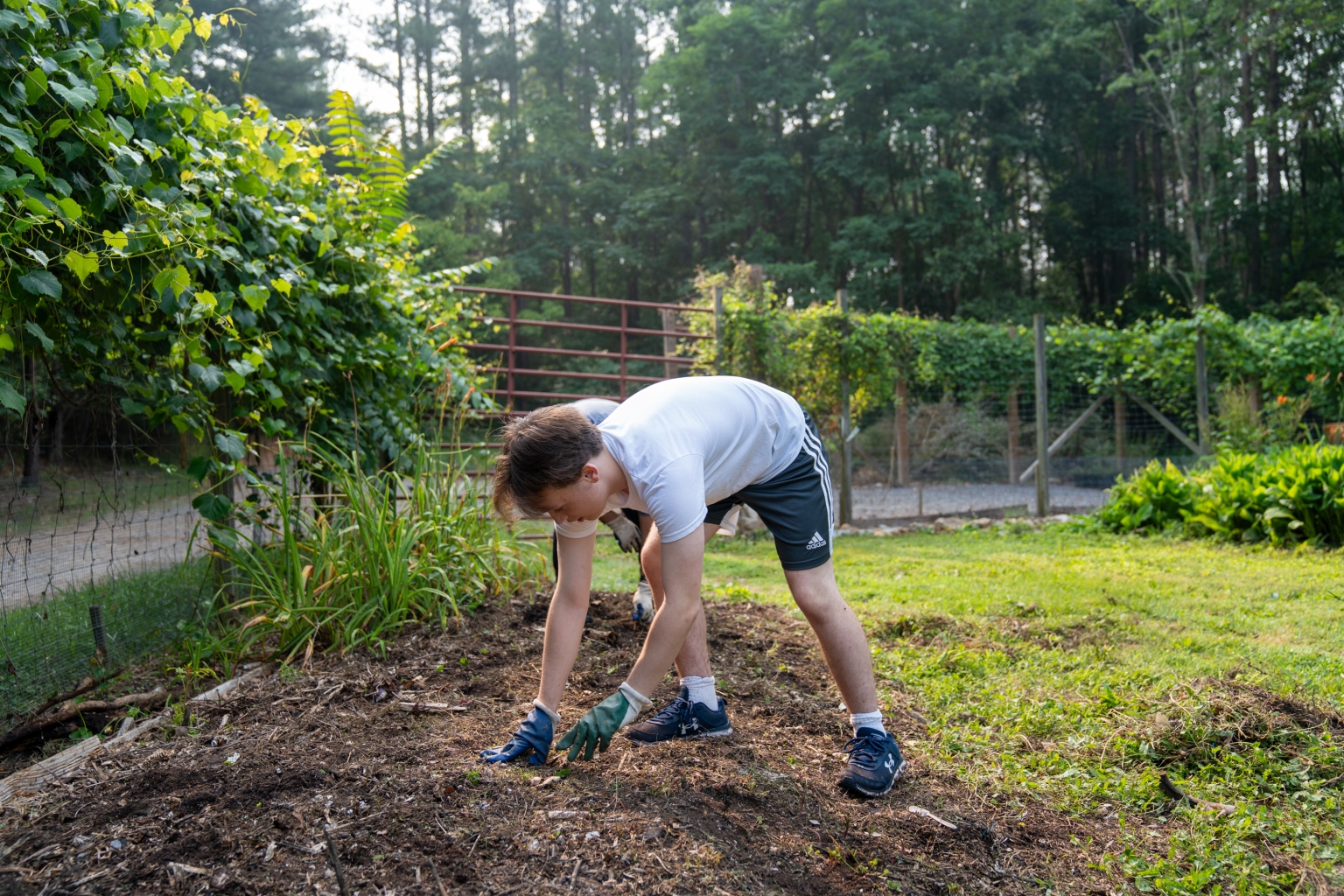 The Columns » Campus Garden Fosters Community, Sustainability and ...