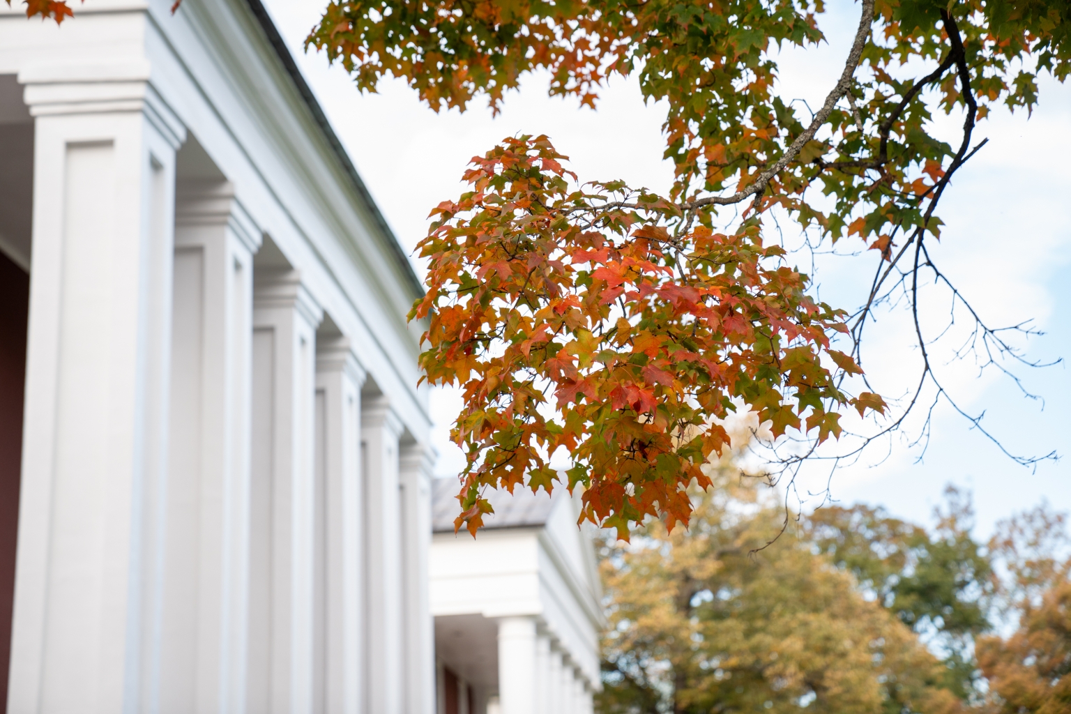 The Columns » Washington and Lee University Launches New Colonnade ...